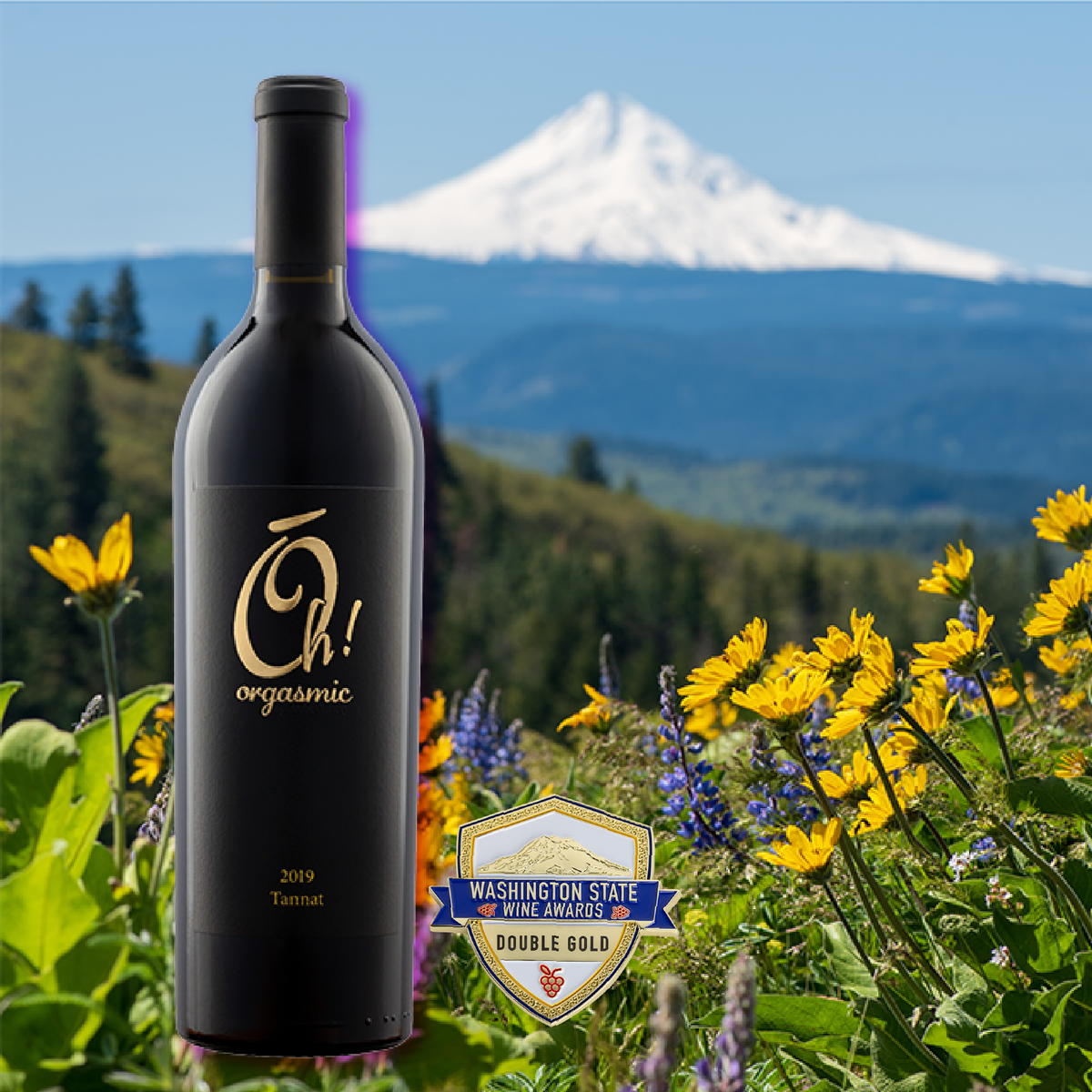 Tannat: rare and nuanced – Evoke Winery